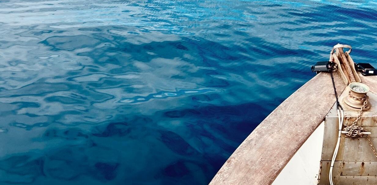 Searcher Sportfishing | San Diego Charter Fishing ...