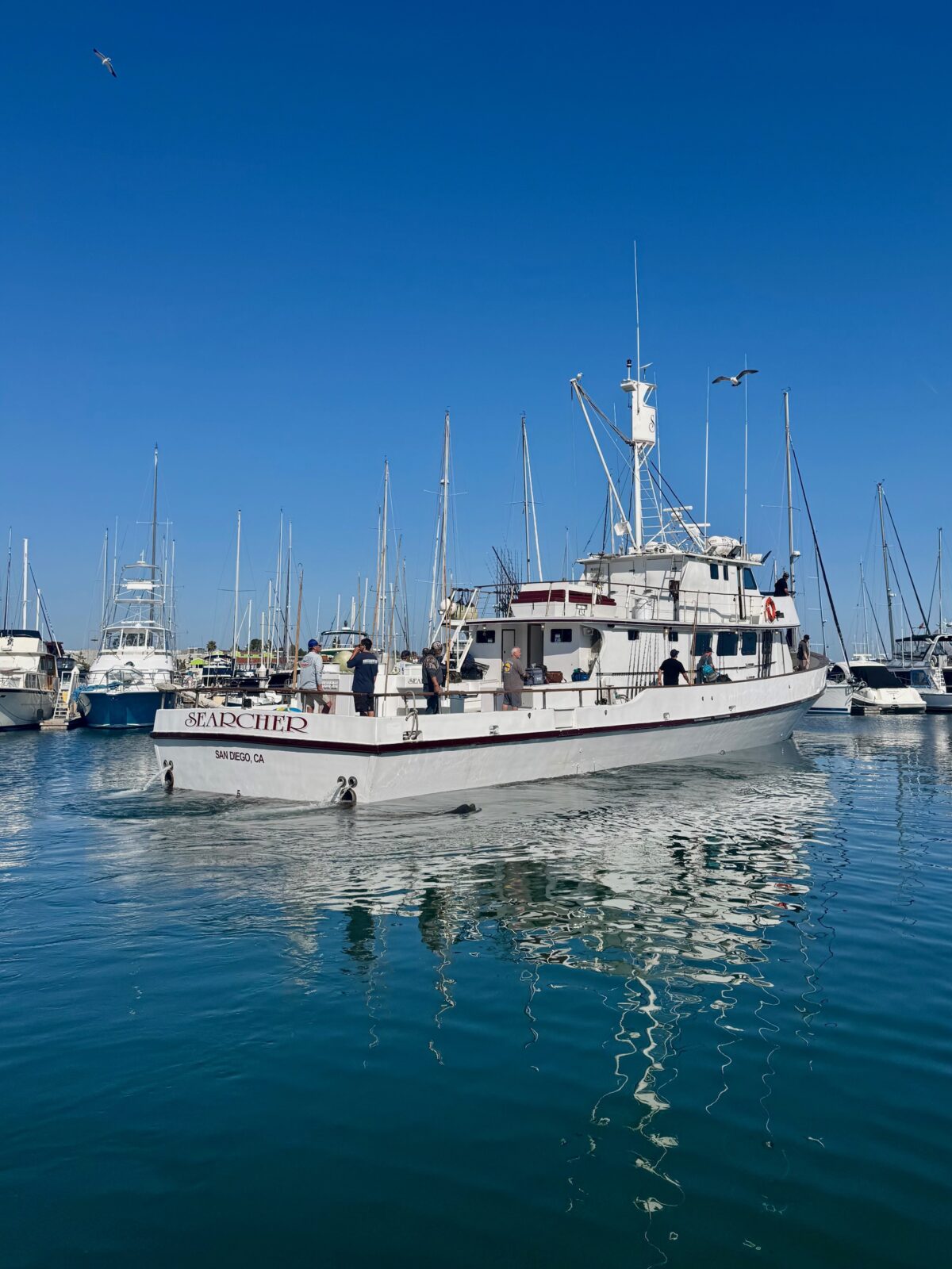 San Diego Charter Fishing - SearcherSportfishing.com