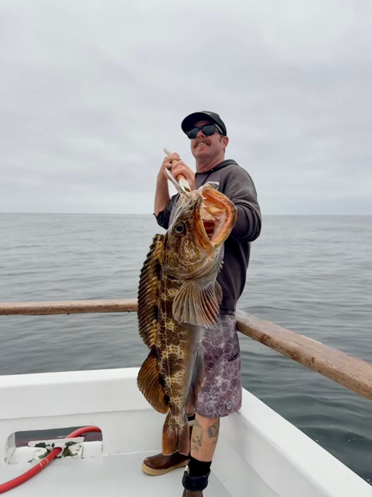 San Diego Charter Fishing - SearcherSportfishing.com